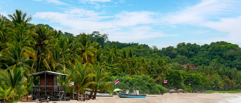Vagues, forêts et volcans | Circuits | Vacances Air Canada