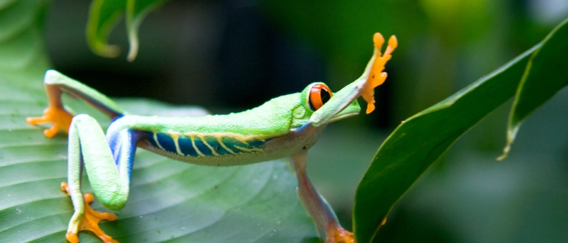 Blissful Nature and Beach Getaway | Tours | Air Canada Vacations