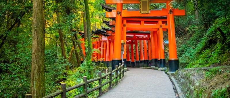 Essence of Japan - French Guided | Tours | Air Canada Vacations