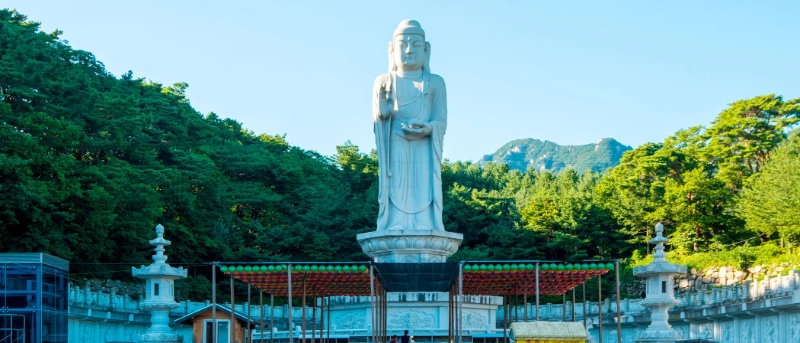 A Journey Through Japan and South Korea | Tours | Air Canada Vacations