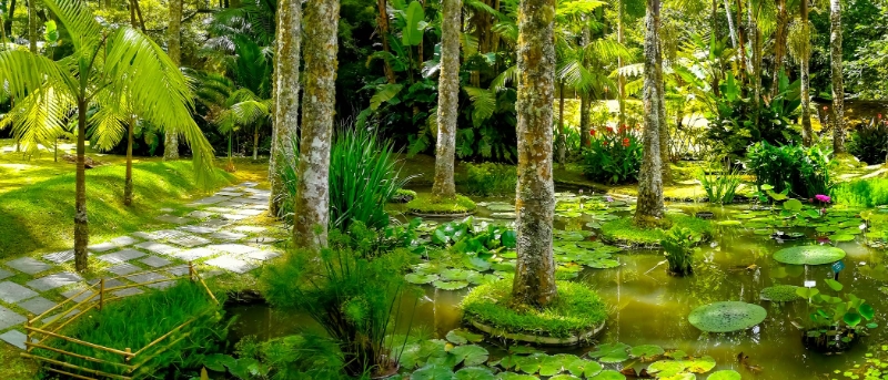 Azorean Duo, Sao Miguel and Terceira | Tours | Air Canada Vacations