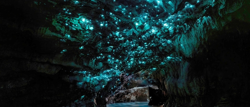 Great Journeys New Zealand Up Close Via Rotorua | Tours | Air Canada ...